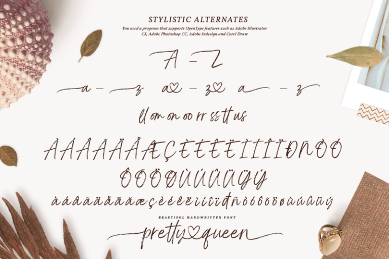 Pretty Queen - Beautiful Handwritten Script Font - Din Studio