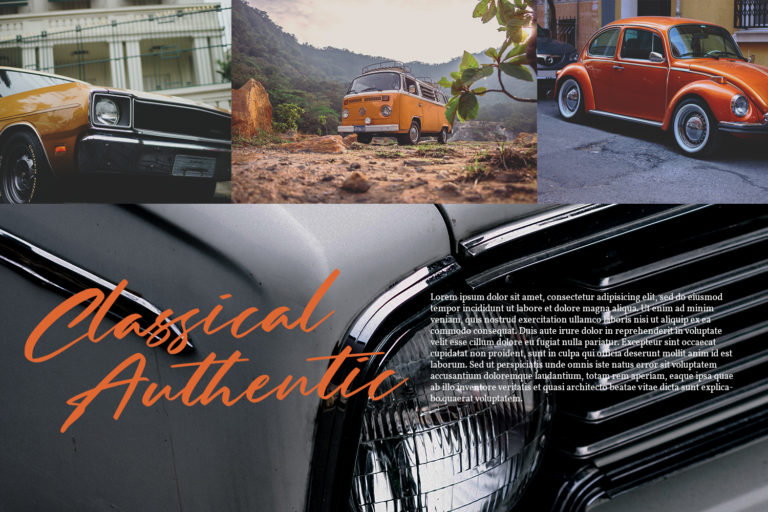 Mister Sally Handwritten Brush Script Font Din Studio