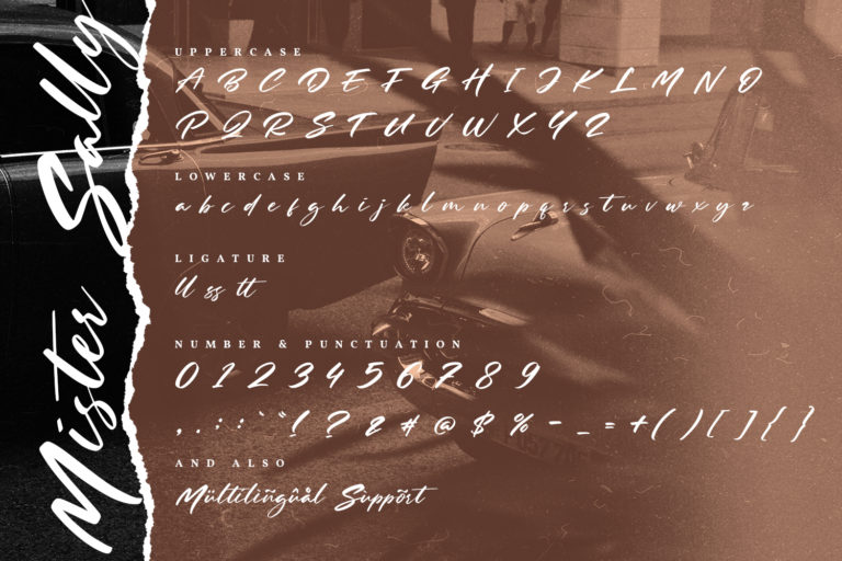 Mister Sally Handwritten Brush Script Font Din Studio