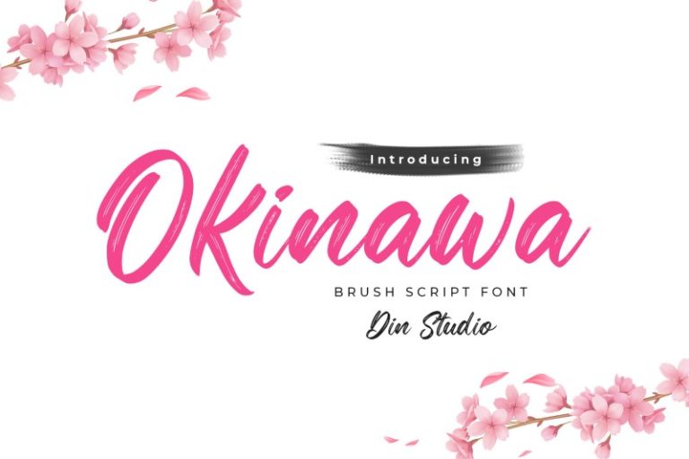 Okinawa - Brush Script Font - Din Studio