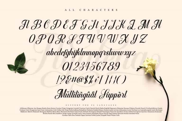 Ayalena ǀ A Beautiful & Attractive Script Font