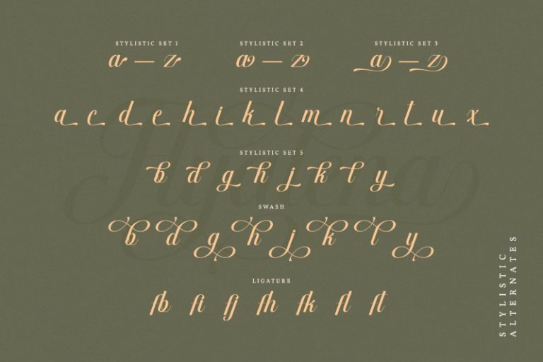 Ayalena ǀ A Beautiful & Attractive Script Font