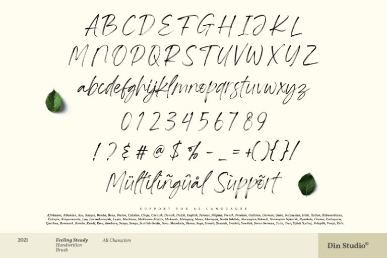 Feeling Steady ǀ Handwritten Brush Font
