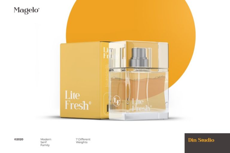 Magelo ǀ A Modern Serif Font Family by Din Studio