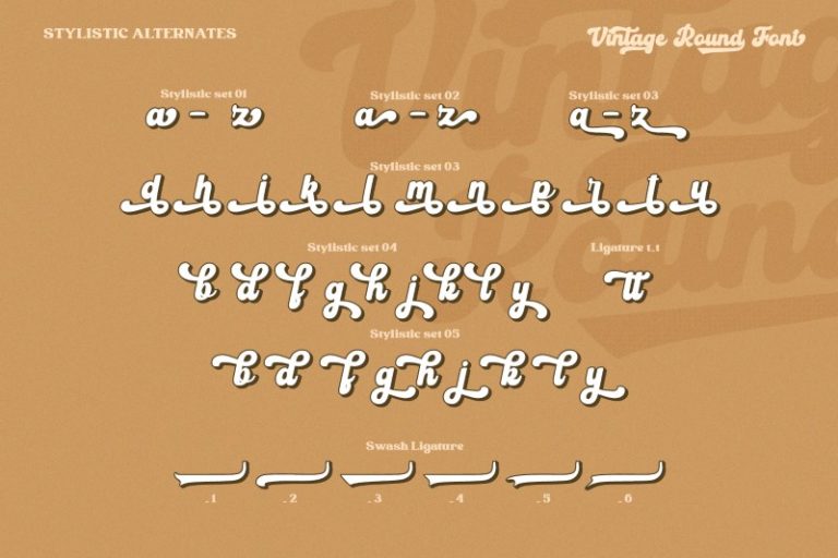 Vintage Round ǀ Amazing Retro Script Font