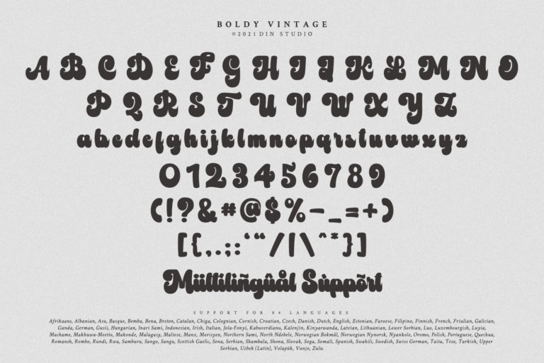 Boldy Vintage Font ǀ Bold Script Typeface