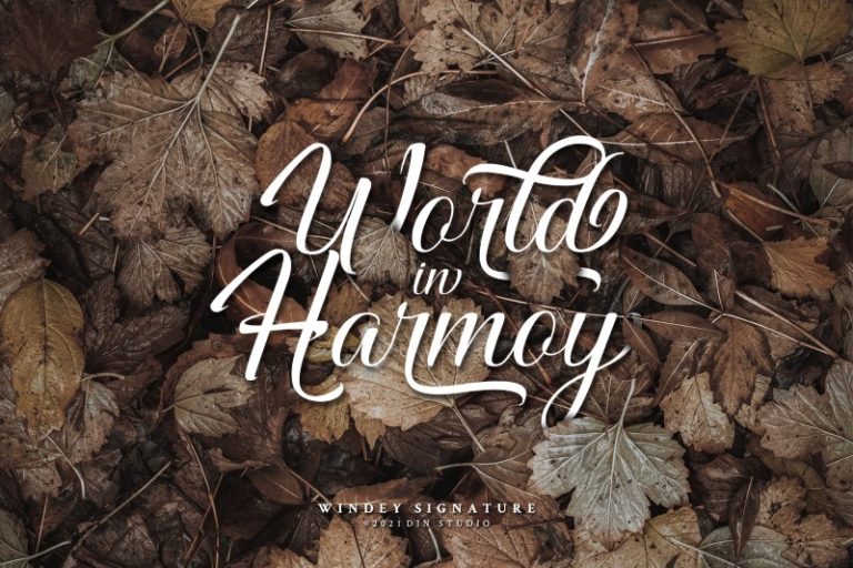 Windey Signature ǀ Modern Script Font
