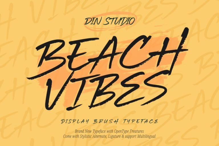 Beach Vibes ǀ Display Brush Typeface