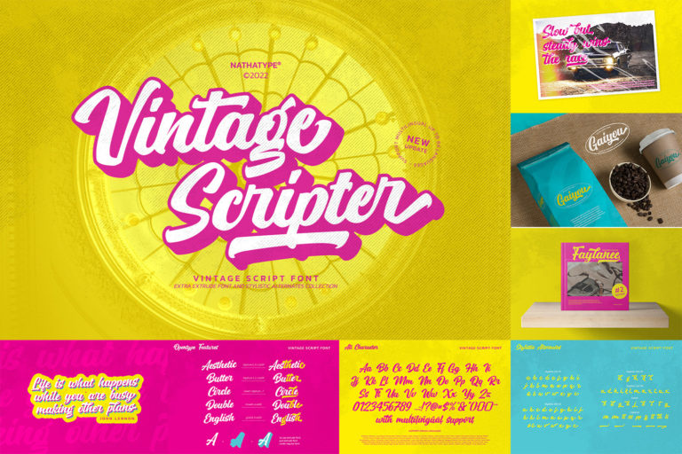 Vintage Retro Font Bundle | Bundle Font