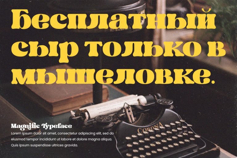 Magnific ǀ Display Serif Font