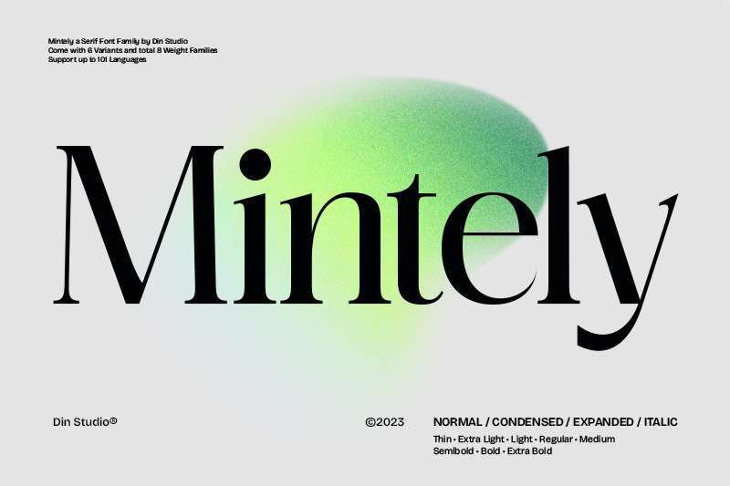 Mintely ǀ Serif Font Family