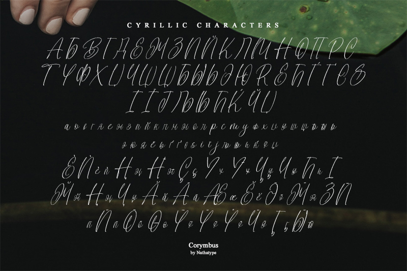 Corymbus | Script Font