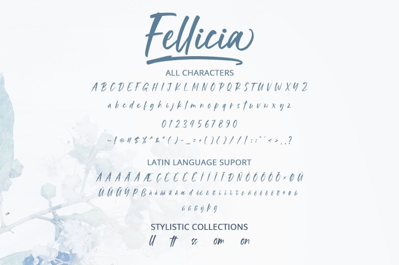 Fellicia | Handwritten Font