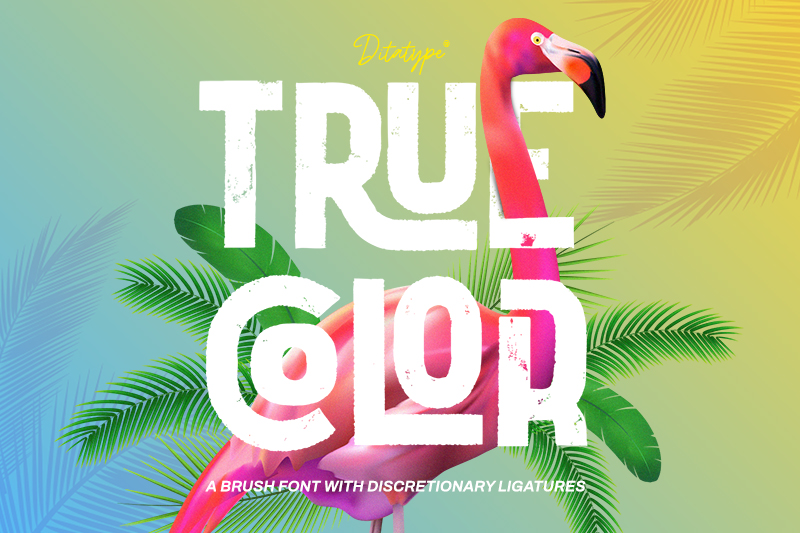 Truecolor | Bold Brush Font