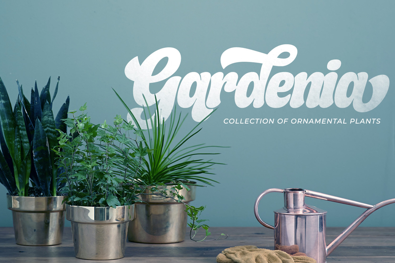 Lunation | Script Font