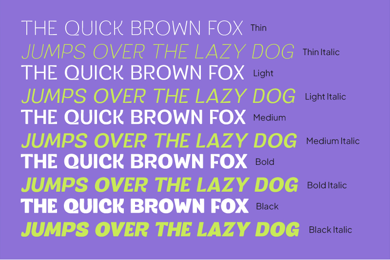 Fangled | Display Sans Serif Font Family