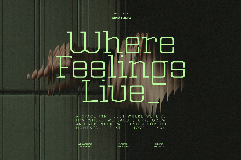Witness | Modern Display Slab Serif Font Family