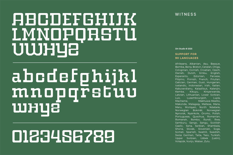 Witness | Modern Display Slab Serif Font Family